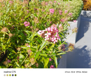 รีวิว realme C75 สมาร์ทโฟนสายถึกทน กันน้ำ IP68 / IP69